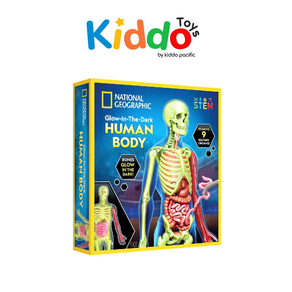 National Geographic Body Science Kit Toys Learn About Anatomy | Shopee ...