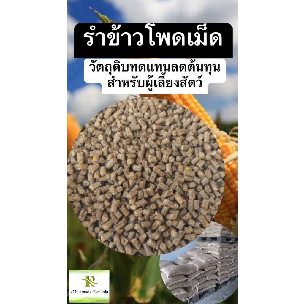 Corn Bran Pellets For Animals Chicken Pig Cattle Ducks Feed | Shopee ...