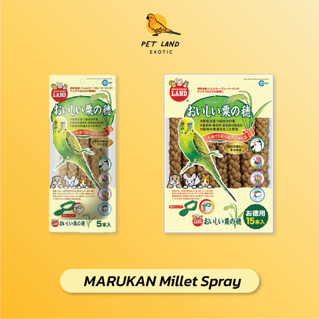 Marukan MR-835/MR-836 Yellow Millet Bouquet (Millet Spray) Raised 2 Bag ...