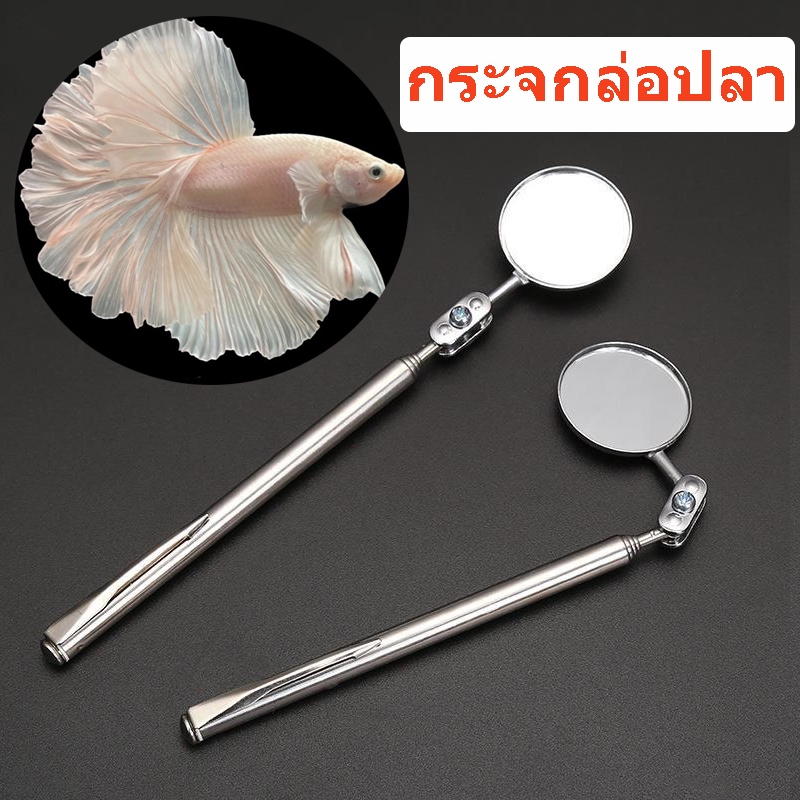 Was Wooden Fish Lure Mirror Betta Glass Easy To Install Foldable Angle ...