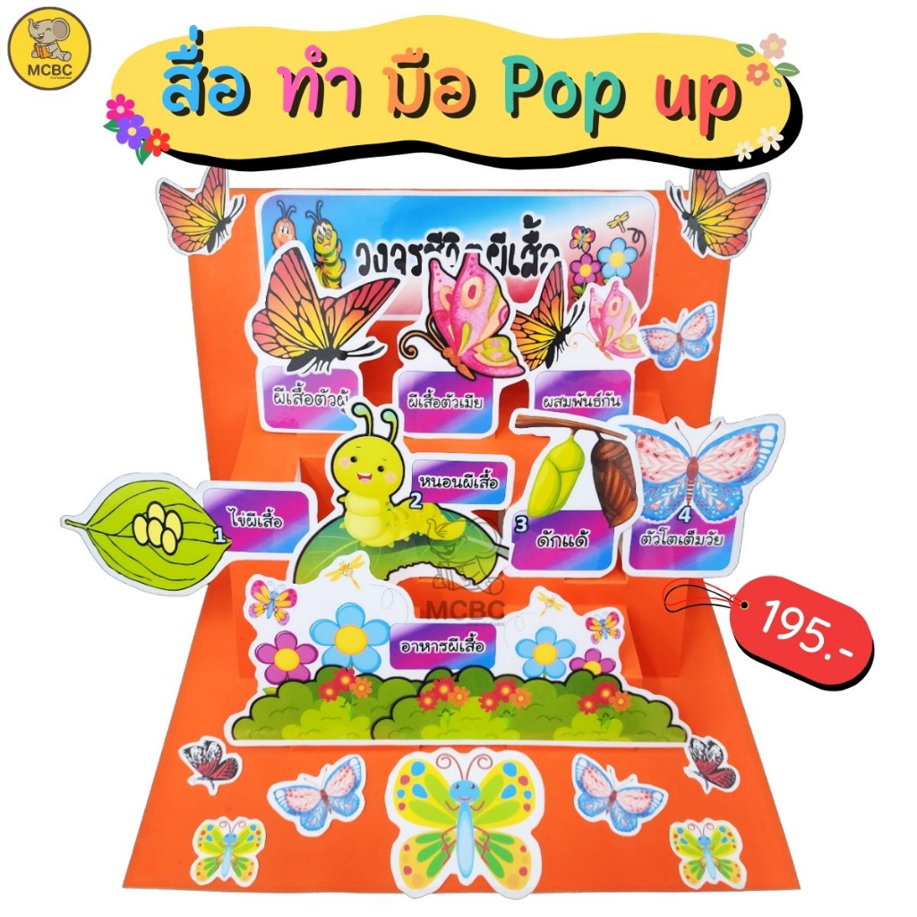 POP UP Handmade Media Butterfly Life Cycle POP-UP Teaching Ready-Made ...