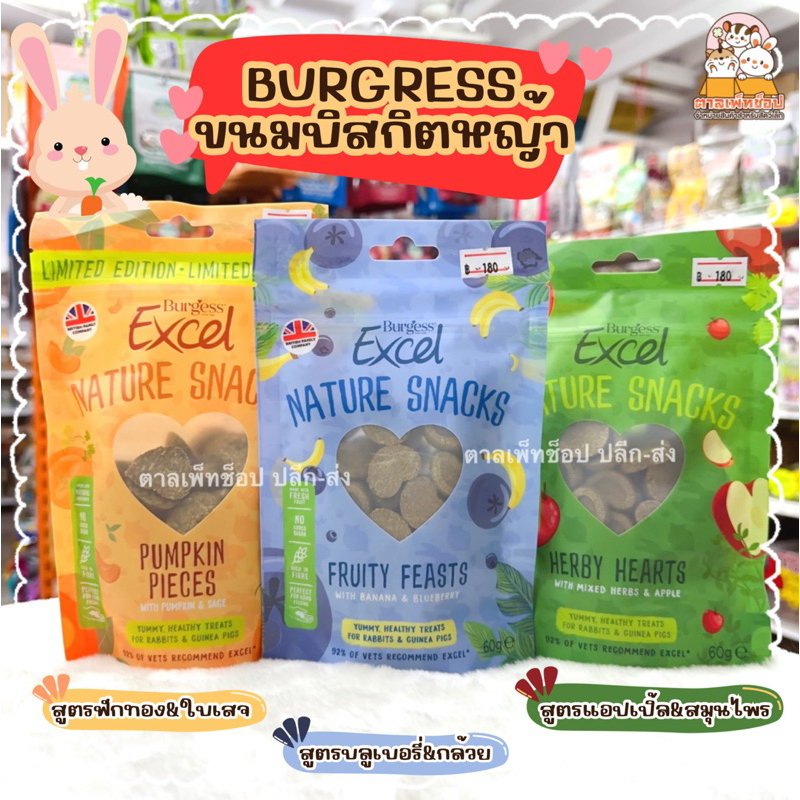 Burgess Excel Snack Grass Biscuit Gatsby Chinchilla Rabbit 60g ...