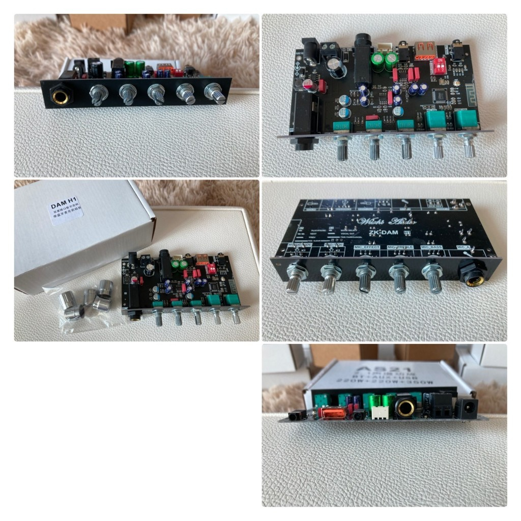 Original Pre-Mic Effect DAM H1 Mic Singing With Built-In Bluetooth ...