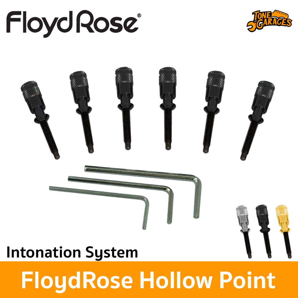 Floydrose Hollow Point Intonation System for Double-Locking Tremolos ...