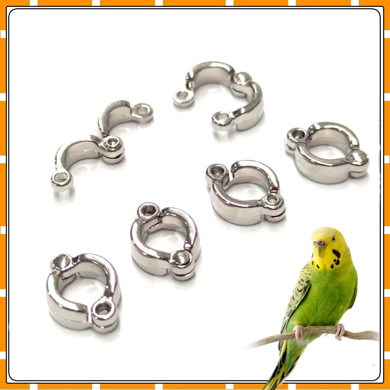 Open Bird Ring All Species Of Parrots Can Be Worn Per 1 | Shopee ...