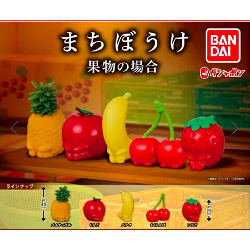 (Authentic/Hand 1) Machiboke Fruit Capsule Toys Sitting Complete Set Of ...
