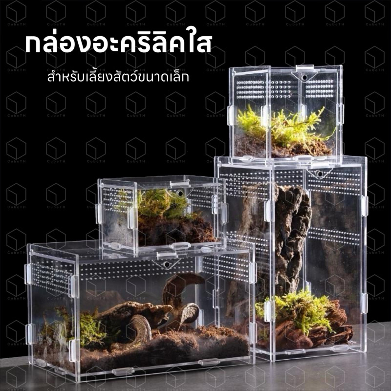Clear Acrylic Box For Animals Insects Spiders Or Small Animals. With ...