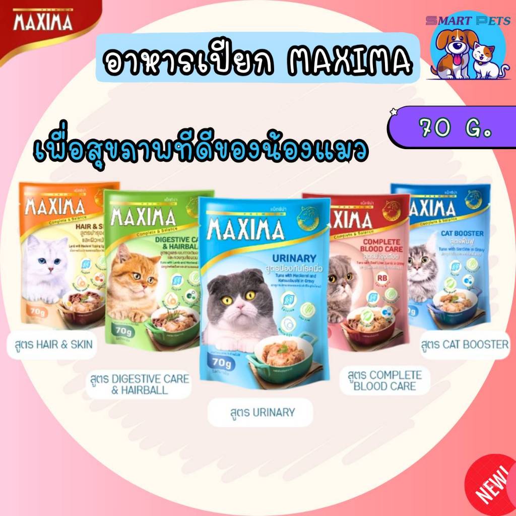 MAXIMA Cat Wet Food Premium Grade 70g | Shopee Philippines