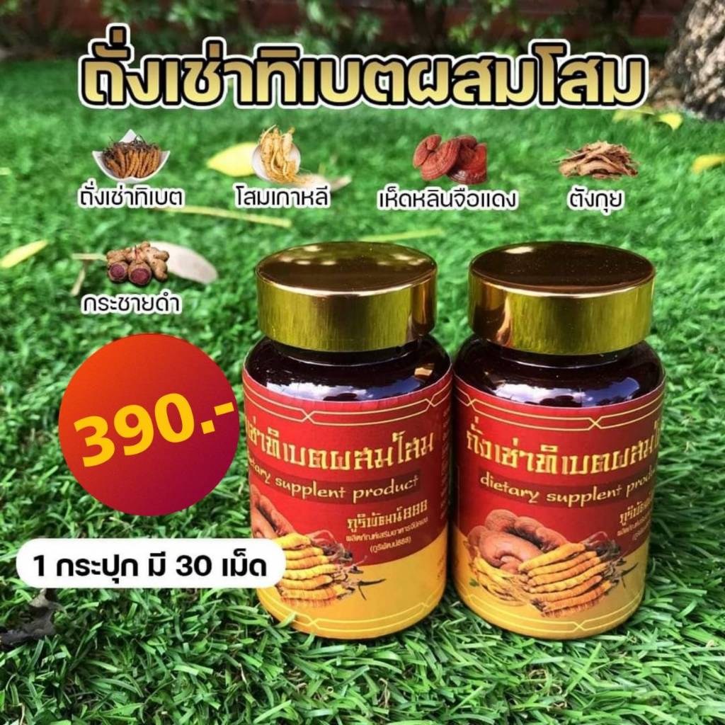 Tibet Cordyceps Premium Plus With Korean Ginseng Lingzhi Tangkui Black ...