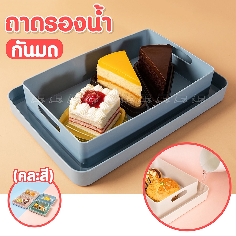 Ant-Proof Tray Assorted Colors For Preventing Ants From Growing Up Food ...