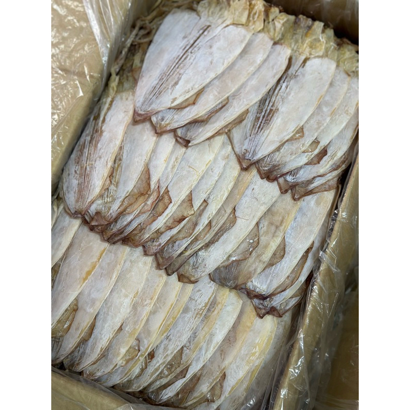 Pattani Side Squid 8 Inches 500 Grams Thick Meat Dried Seafood | Shopee ...