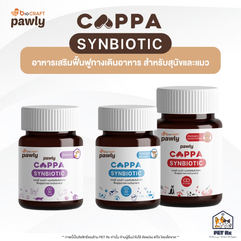 CAPPA: Synbiotic [Authentic] Active Supplement Help Restoring Digestive Health For Dogs And Cats ...