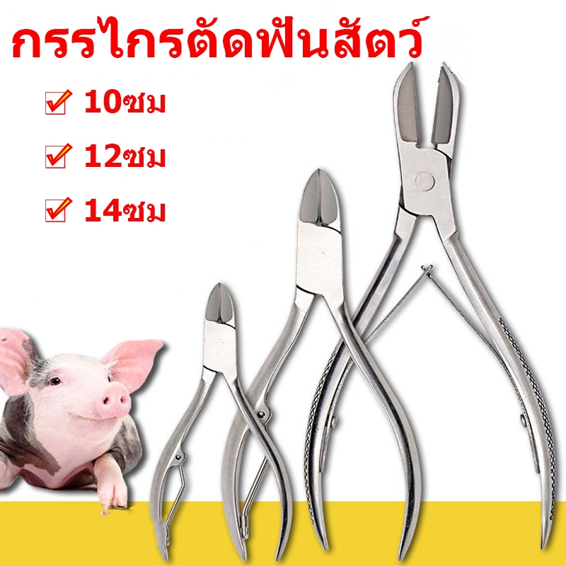 Was Pork Teeth Scissors Piggy Cutter Stainless Steel Pig Tooth Pliers ...