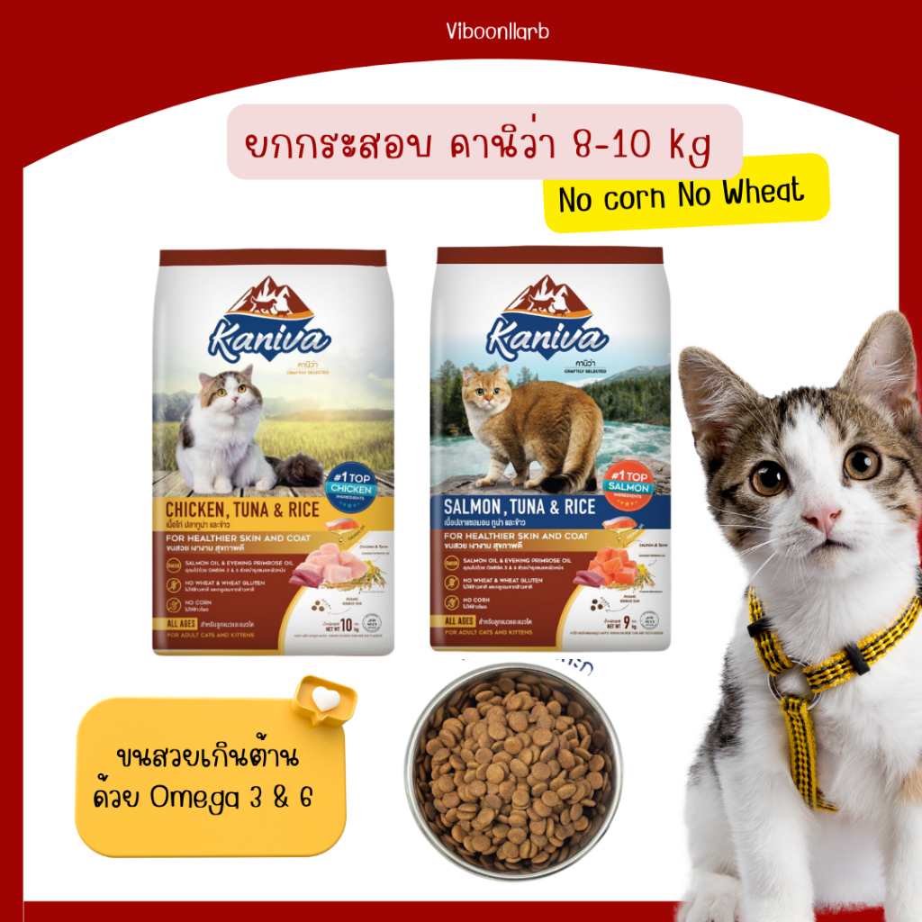Caniva Cat Food No Corn Wheat Reduce Hair Loss Problem Lift Up A 9-10 ...