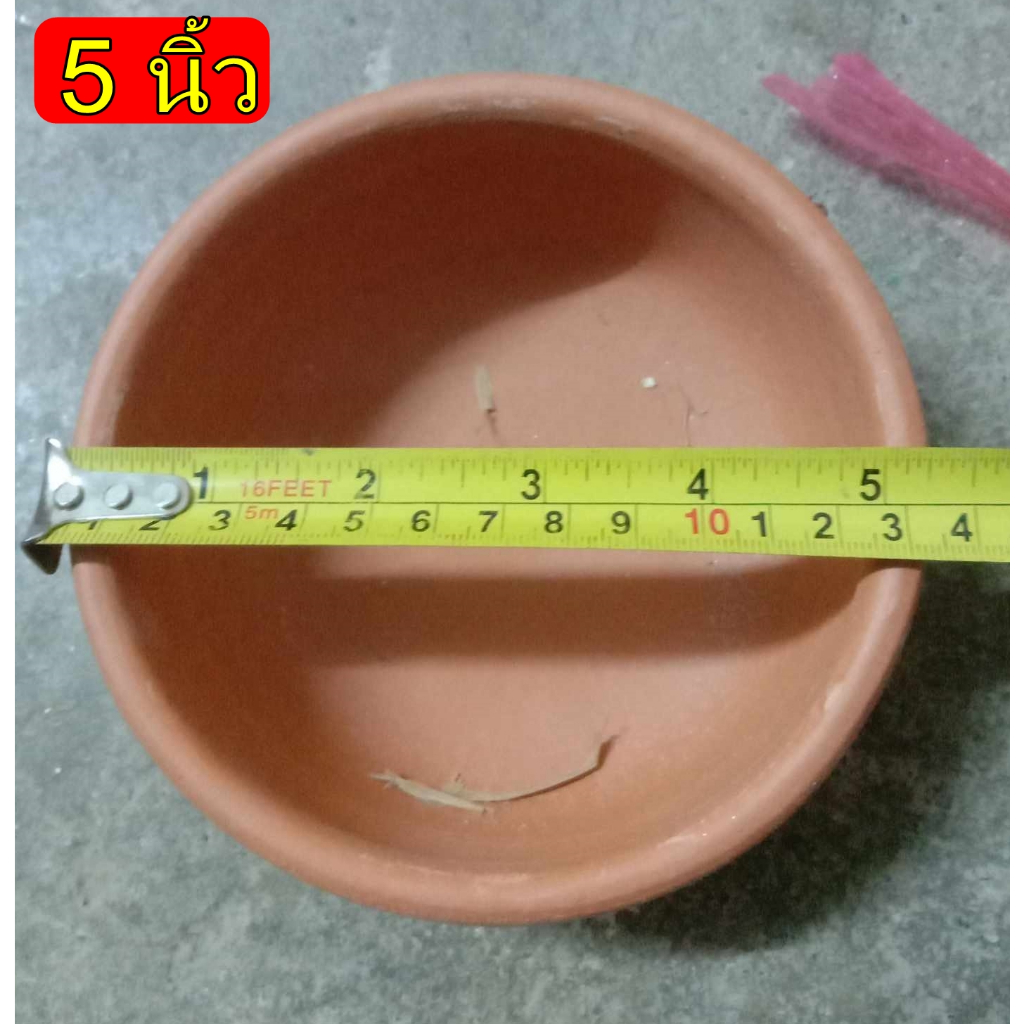 4-10 Inch Clay Basin For Food Birds Mice Hedgehogs Chickens Squirrels ...