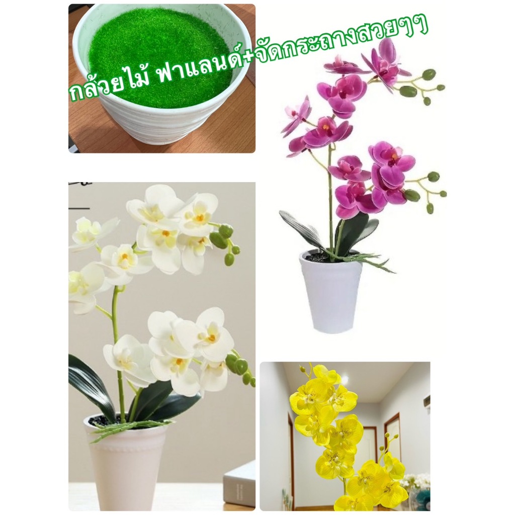 Faland Orchid + Pot (Ready To Use)Artificial With Realistic Fake Leaves ...