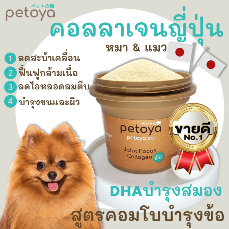 Petoya Japanese Collagen Nourishing Joints And Coat. For Dogs And Cats Joint Focus + DHA Formula ...