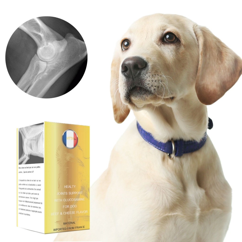 Calflex Nourishes Joints Reduces Inflammation Care For Cartilage Old ...