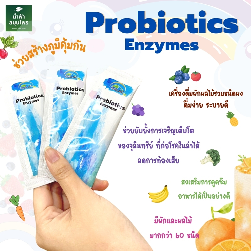 Probiotics Enzymes Mixed Fruits And Vegetables Powder Easy To Drink ...