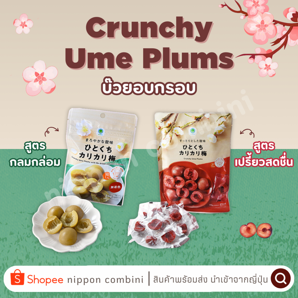 Crunchy Ume Plums Plum Crisps 34g Imported From Family Mart Japan ...