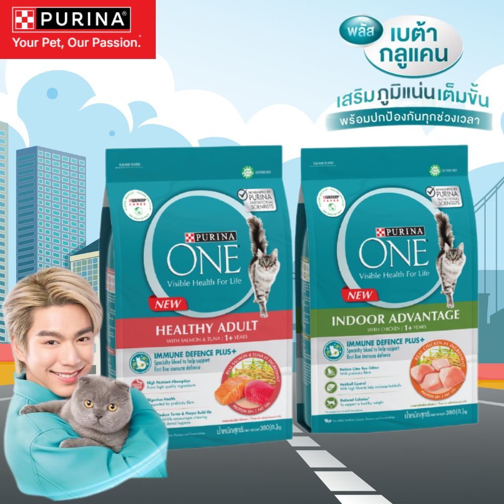 PURINA ONE 380g Cat Food Super Premium Grade | Shopee Philippines