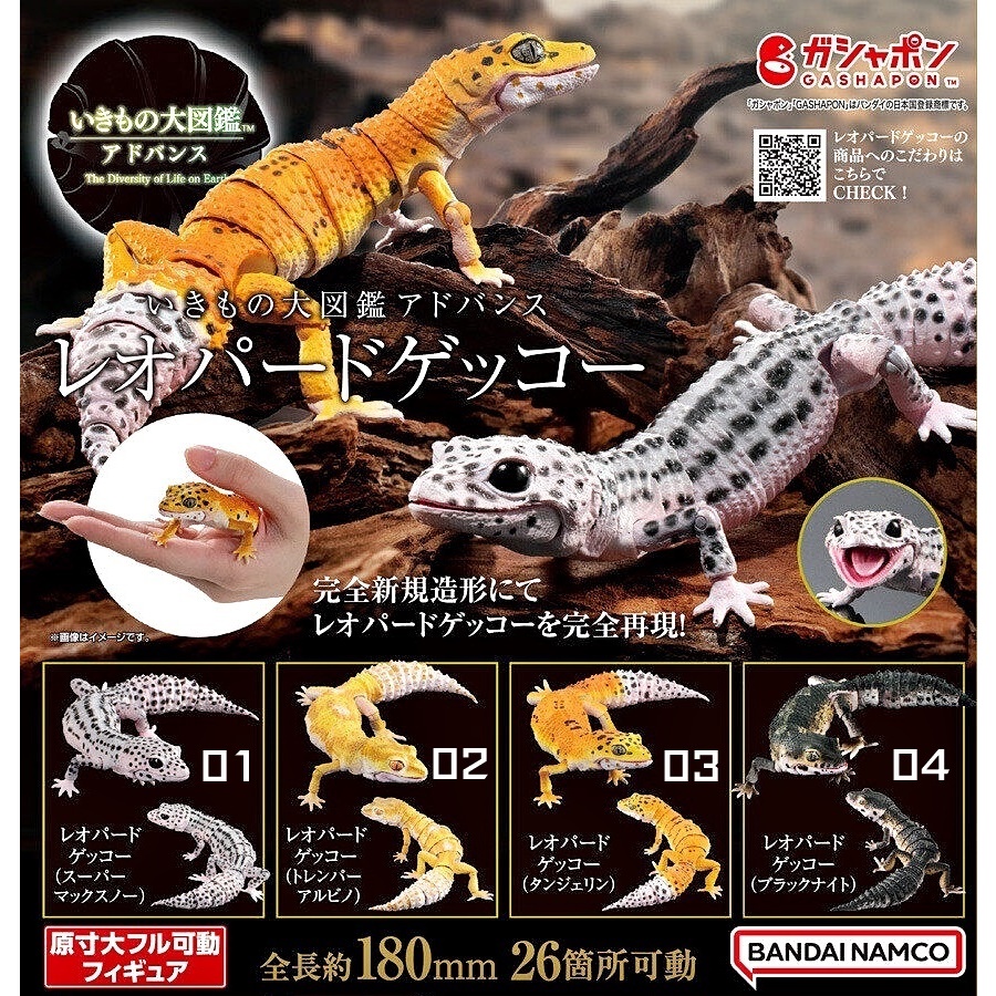 New Leopard Gecko Gashapon Bandai Premium Ikimono Encyclopedia Ver ...
