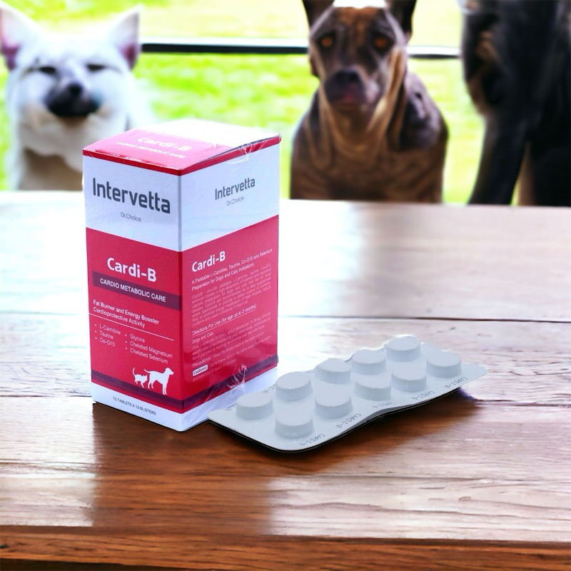 Dr.choice Cardi-B Heart Care Dog Cat Exp 14/4/2026 (1 Box Of 100 ...