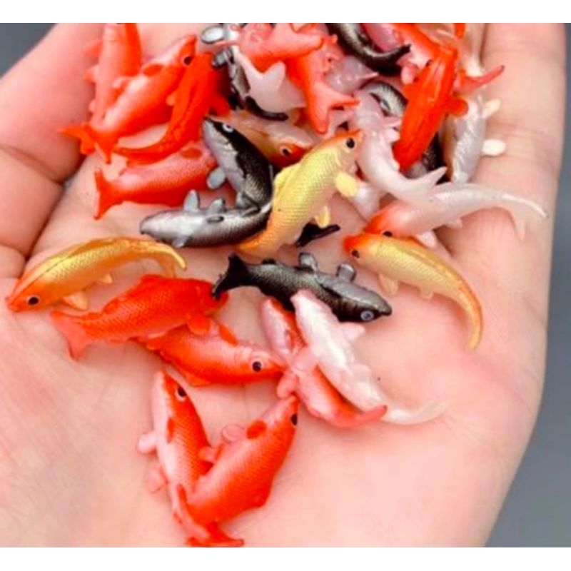 Mini Carp Miniature Fish/1pcs | Shopee Philippines