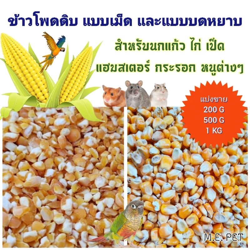 Raw Corn Granular And Coarsely Ground Type For Parrots Chickens Ducks ...