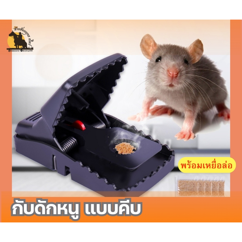 A Clip-On Mousetrap With Lure And Eliminates Mice That Bring Impurities ...