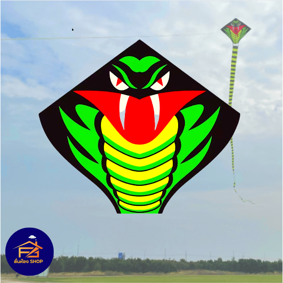 Large Green Snake Kite With A 9-12 Meters Long Tail Plus Red Handle 100 ...