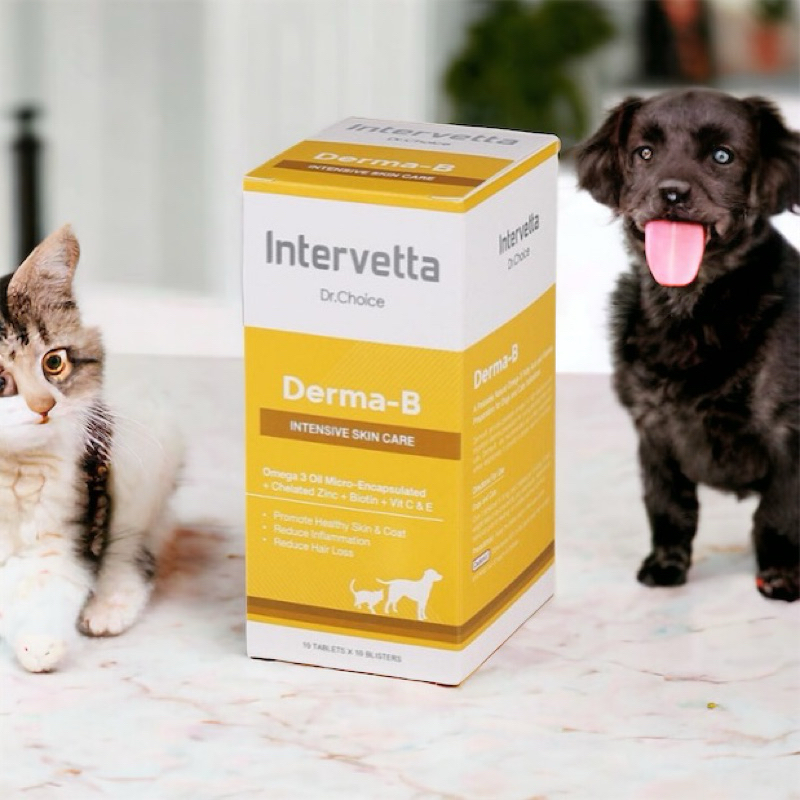 Dr. Choice Derma-B Nourishing Dog And Cat Hair Exp 14/7/2026 (1 Box ...