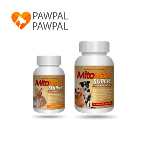 Mitomax Super Small Medium Dietary Supplement For Digestion Probiotic ...