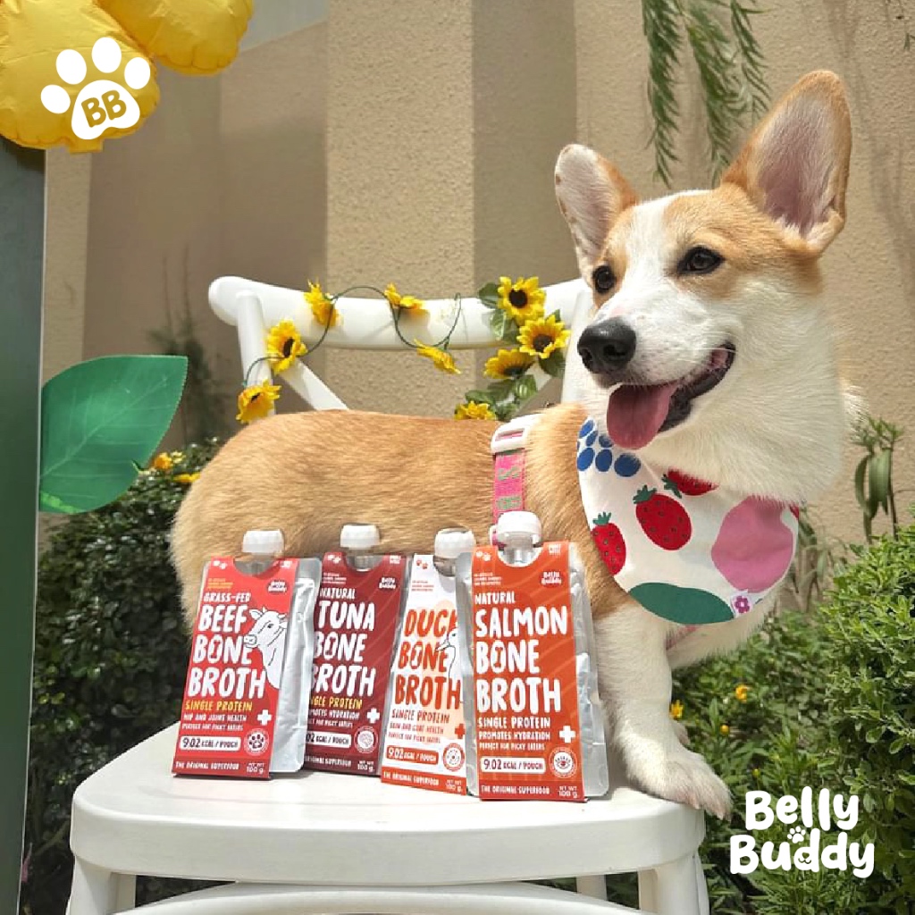 Belly Buddy Bone Broth 100ml For Dog | Shopee Philippines