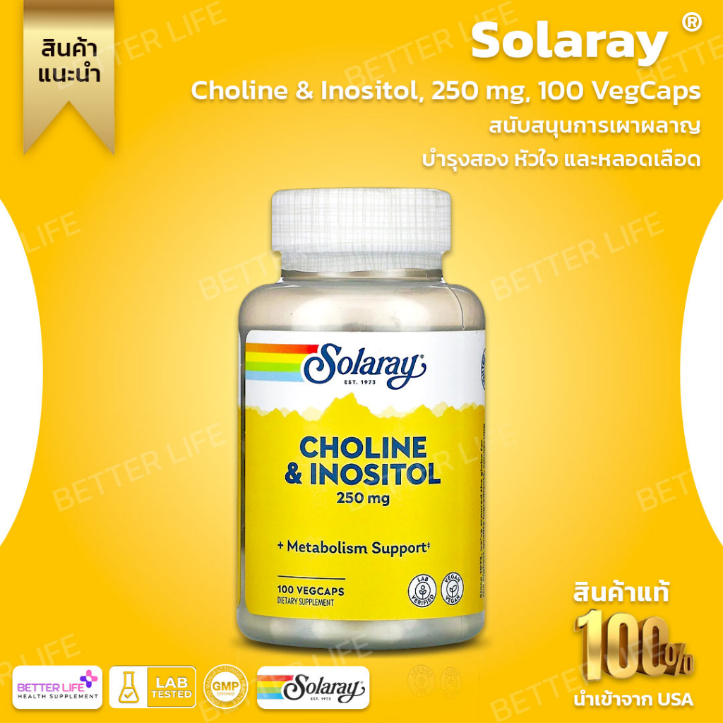 Solaray Choline & Inositol 250 mg 100 VegCaps(No.3213) | Shopee Philippines