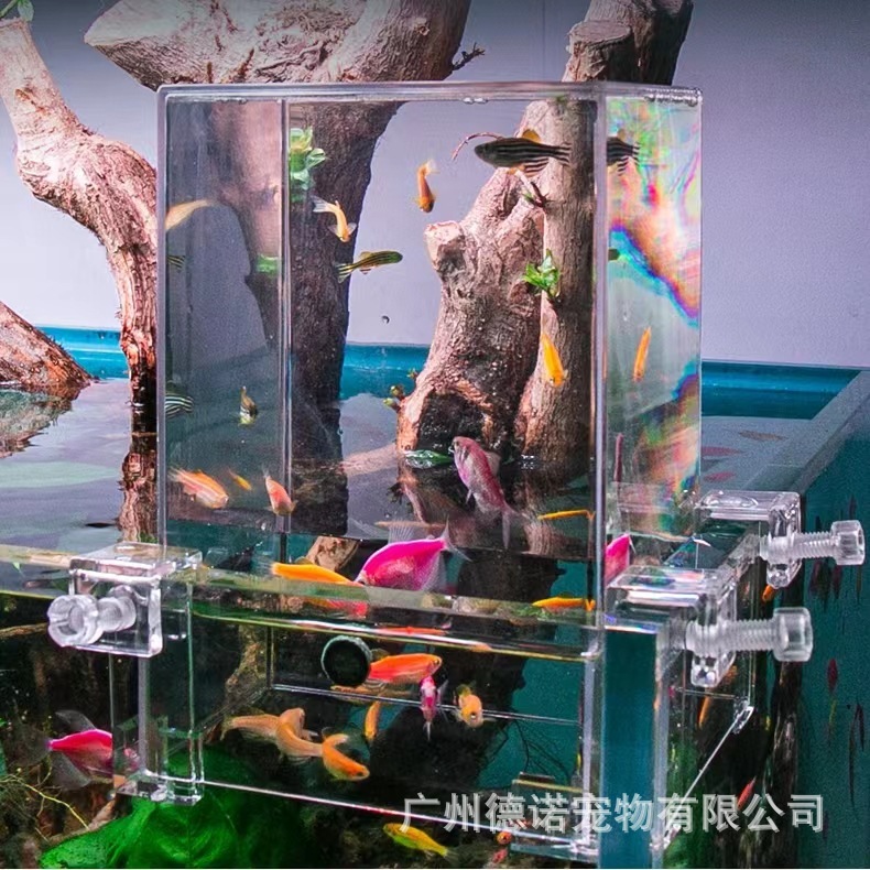 Vacuum Acrylic Fish Tower Used To Attach A Beautiful Aquarium Edge From ...