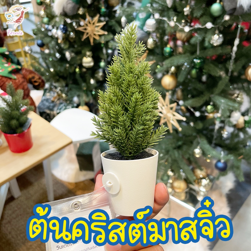 Tiny Pine Tree Christmas Winter Finte IKEA Mini Christmast VINTERFINT ...