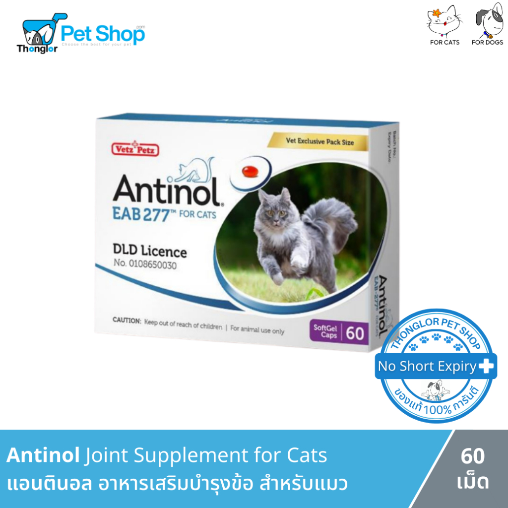 Vetz Petz Antinol-Antinenol Fat Supplement Joint Maintenance For Cats ...