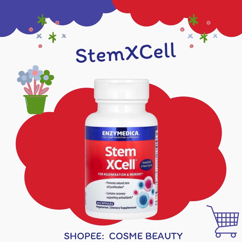 Enzymedica Stem XCell 60 capsules (New Packing/exp.11/2025) | Shopee ...