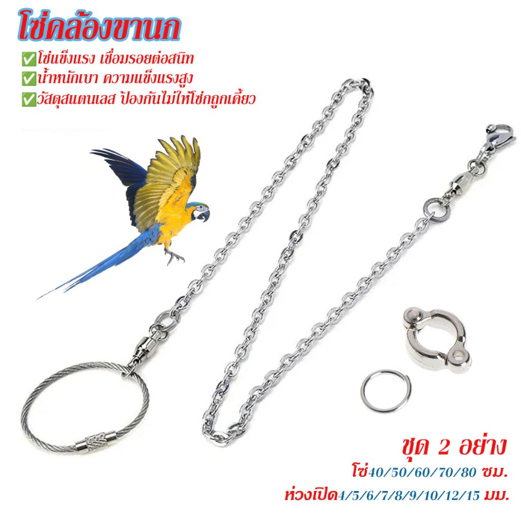Bird Leg Chain Free Ring Open Loop Light Weight Good To Use With Birds ...