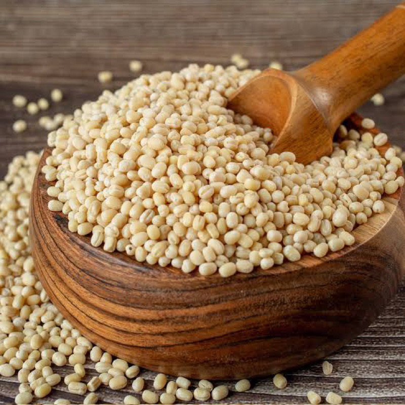 Urad Gota (Black Bean Sprout) 500g. | Shopee Philippines