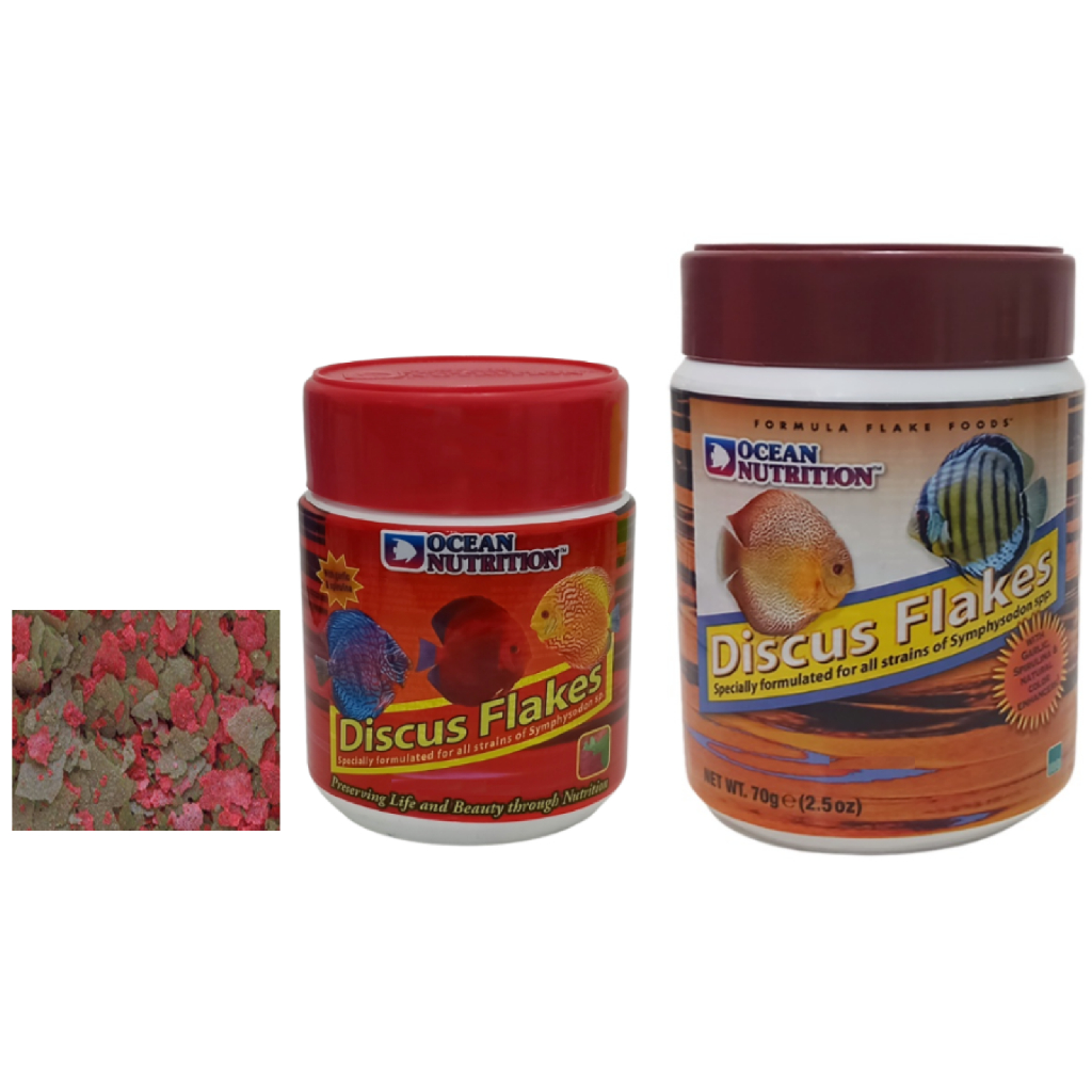 Fish Food Pompadour Sinking Plate Type Discus Flake Ocean Nutrition ...