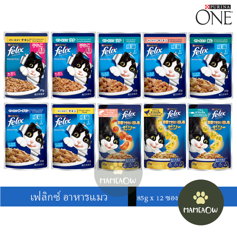 Purina Felix Cat Food 85gx12 Sachets (Dozen) | Shopee Philippines