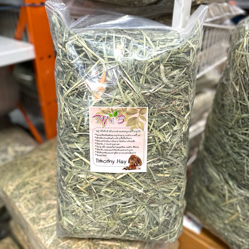 M&B Timothy Premium Hay Rabbit Grass Prairie Dog Sifted Dust Green ...