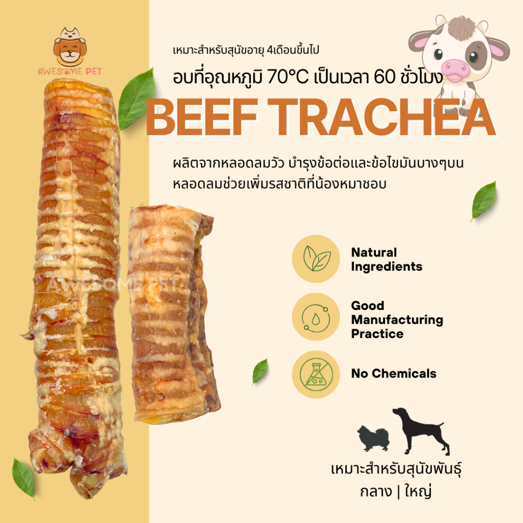 Dehydrated Cow Mouth Chew (Beef Trachea) Dog Dental Floss | Shopee ...