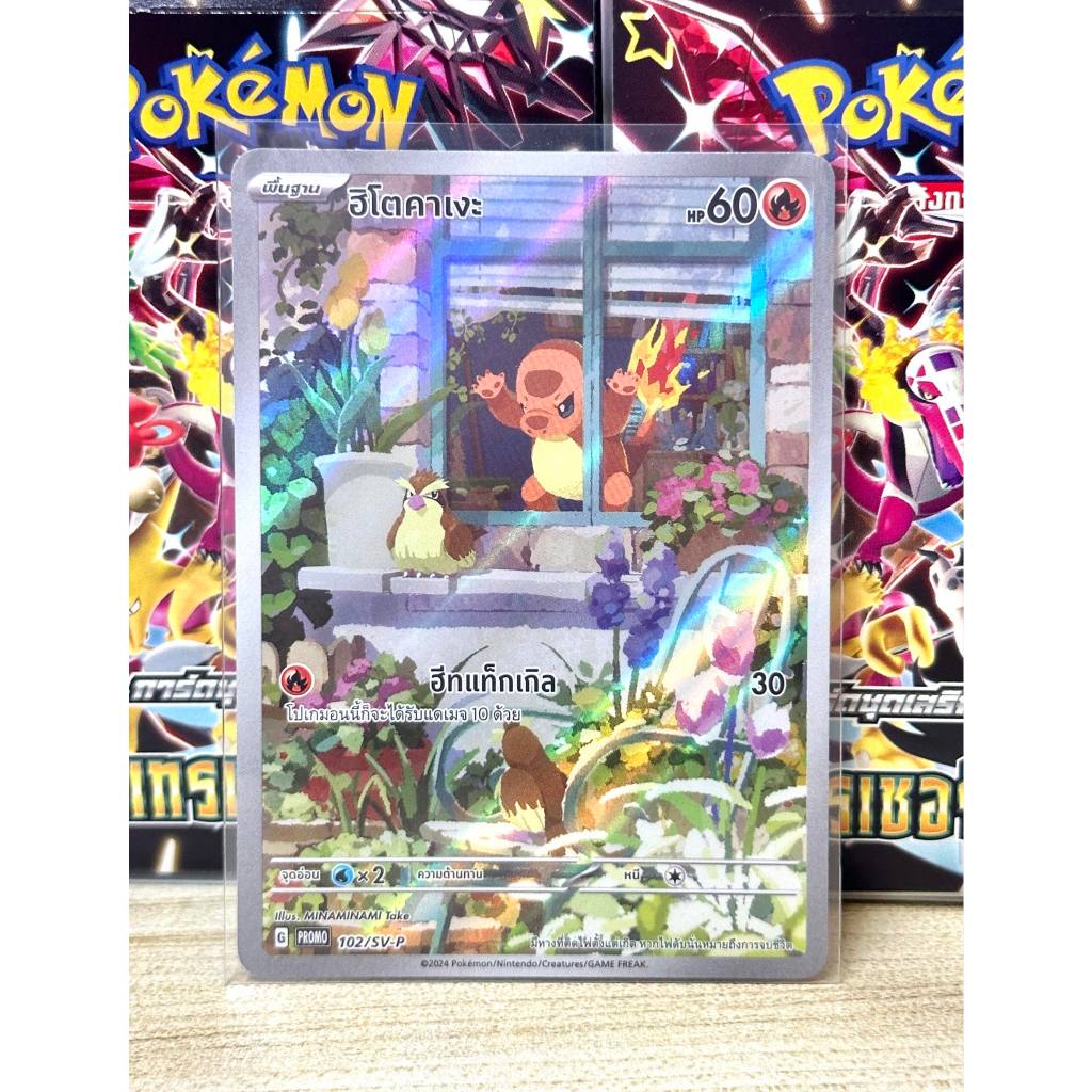 Pokemon Cards-Includes AR Promo From Shini Treasure ex Hitokage Set ...