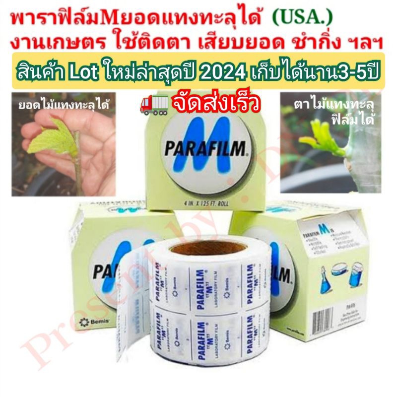 ParafilmM AMCOR USA Authentic Parafilm M Product New Lot Year 2024 Soft ...