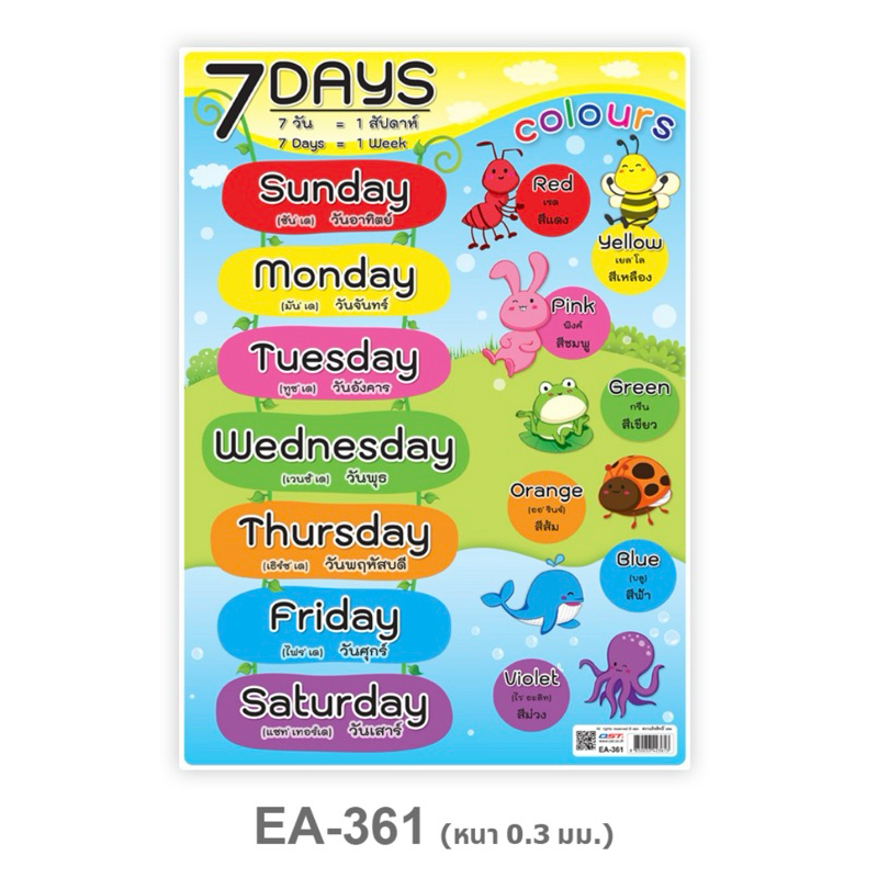 Knowledge Poster Teaching Materials Set 7 days Size A4 Sharp Color EA ...