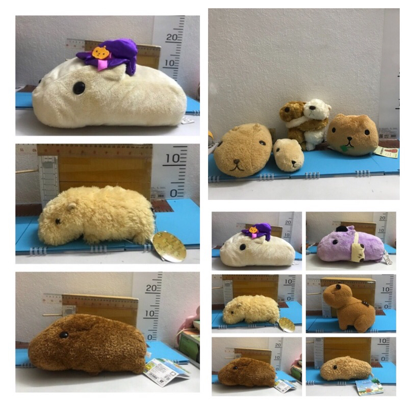 Capi Kid Girl Coconut Capibara With Tag | Shopee Philippines