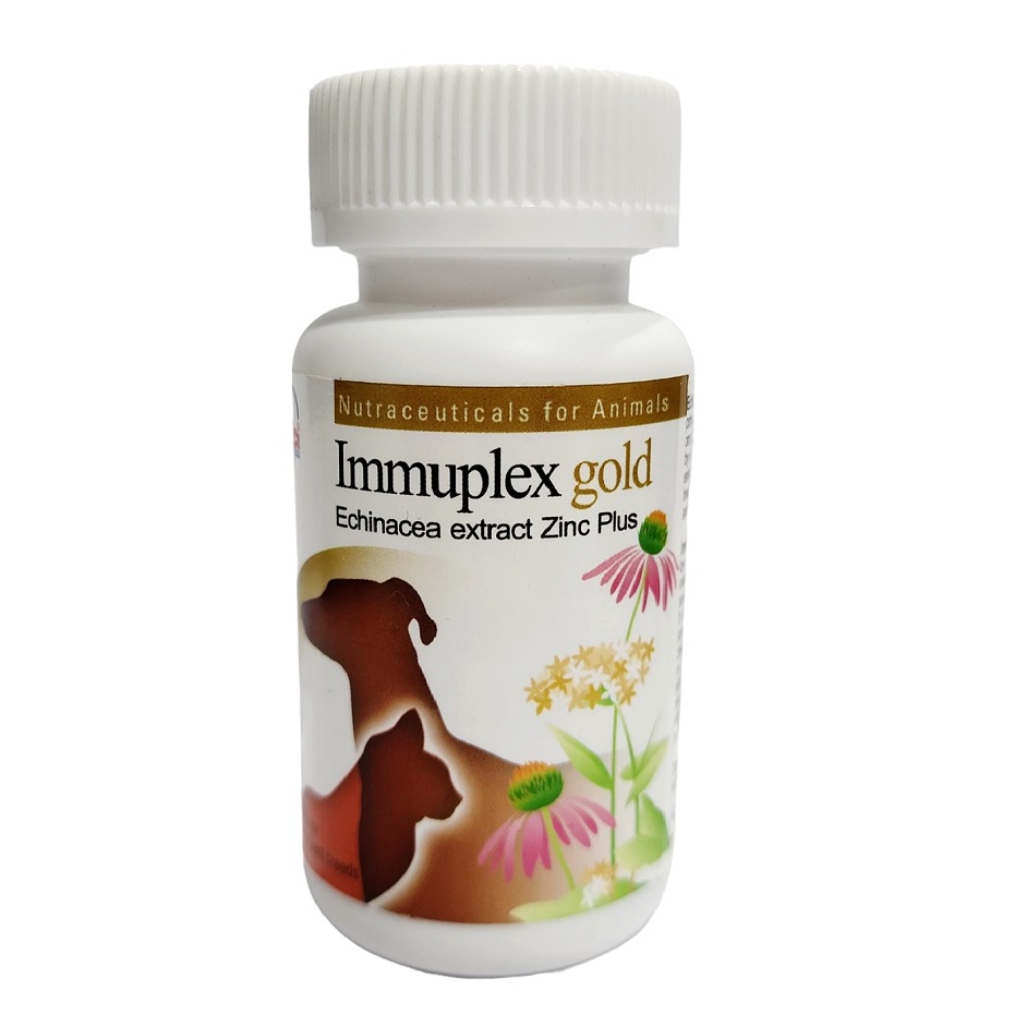 Immuplex Gold (60 Tablets Jar) Enhances Immunity For Dogs Cats (Expires ...